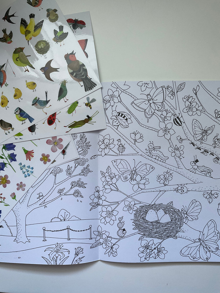 ALBUM DA COLORARE Le botaniste. – albero delle matite cartoleria creativa